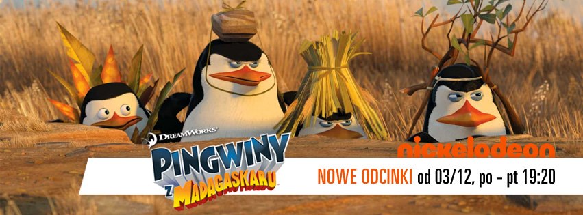 NickALive!: Nickelodeon Poland To Premiere Brand New Episodes Of NickALive!: Nickelodeon Poland To Premiere Brand New Episodes Of