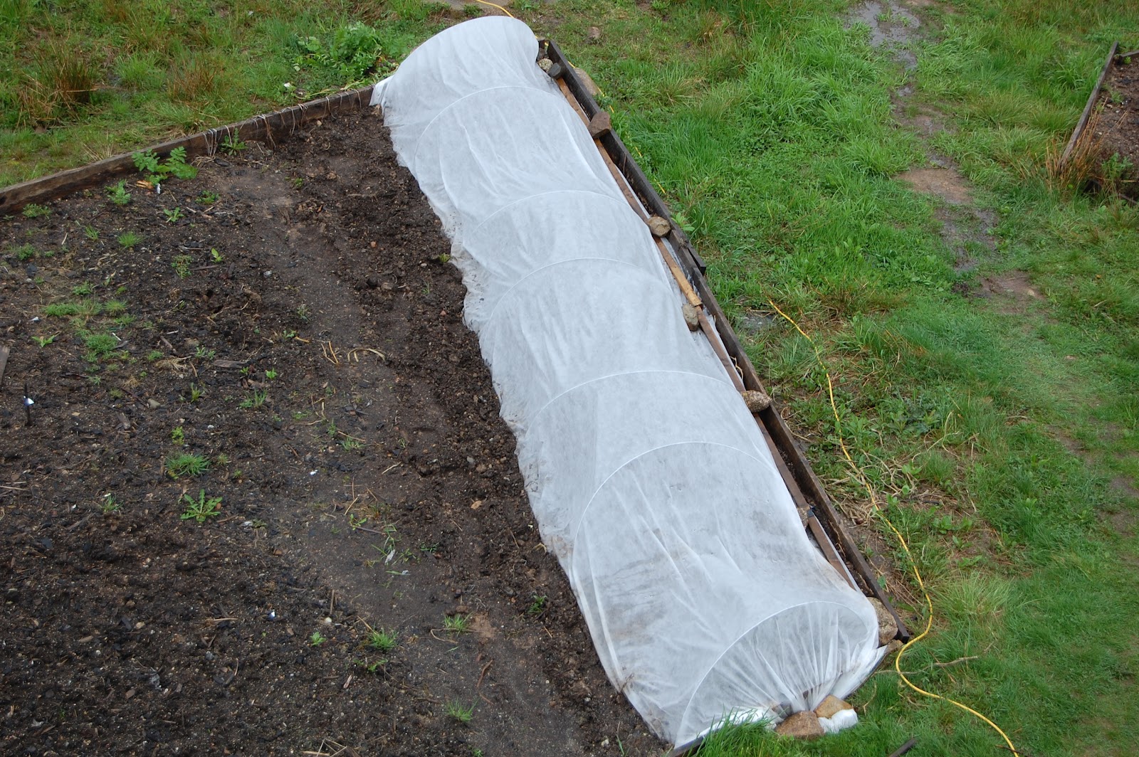 Basin Gardeners Association: Growing with Floating Row Cover