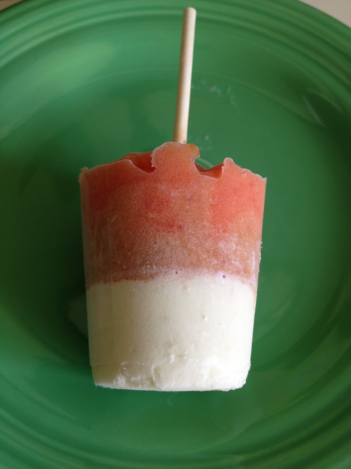 Wendy S. Minks: Homemade Popsicles