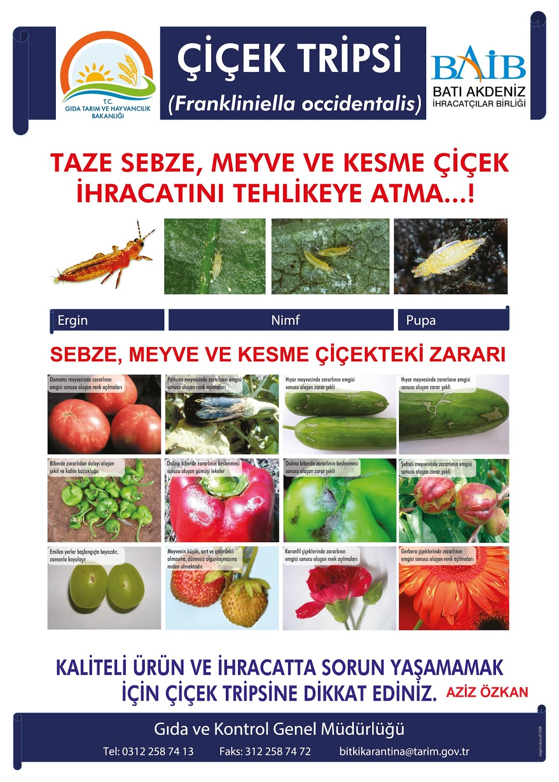 Aziz Özkan Tarım Bilgi Paylaşım Portalı Hoşgeldiniz: FRANKLİNİELLA ...