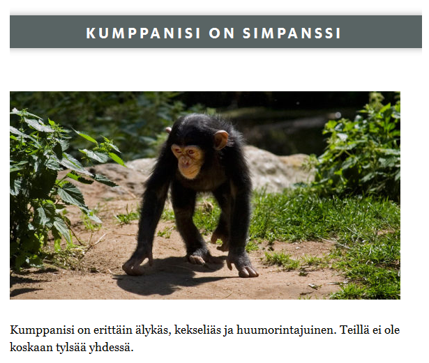 Kaloriinan kamari: Apina ja gorilla