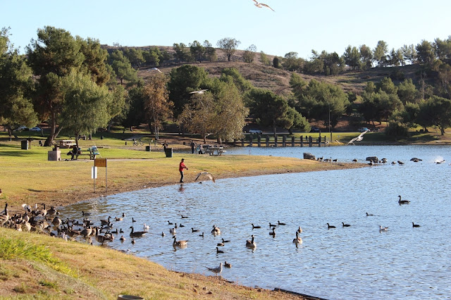 Wonderful places I have been: Frank G. Bonelli Regional Park (11/11/2015)