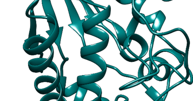 MedFriendly Medical Blog: What is the Klotho Protein, and What is its ...