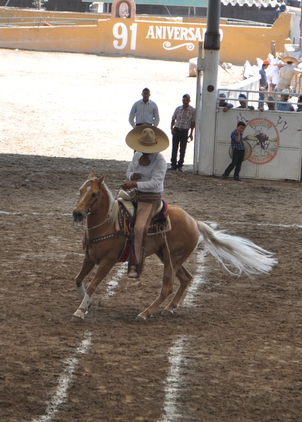 Adventures By Aaron: Charreada: The Mexican Rodeo