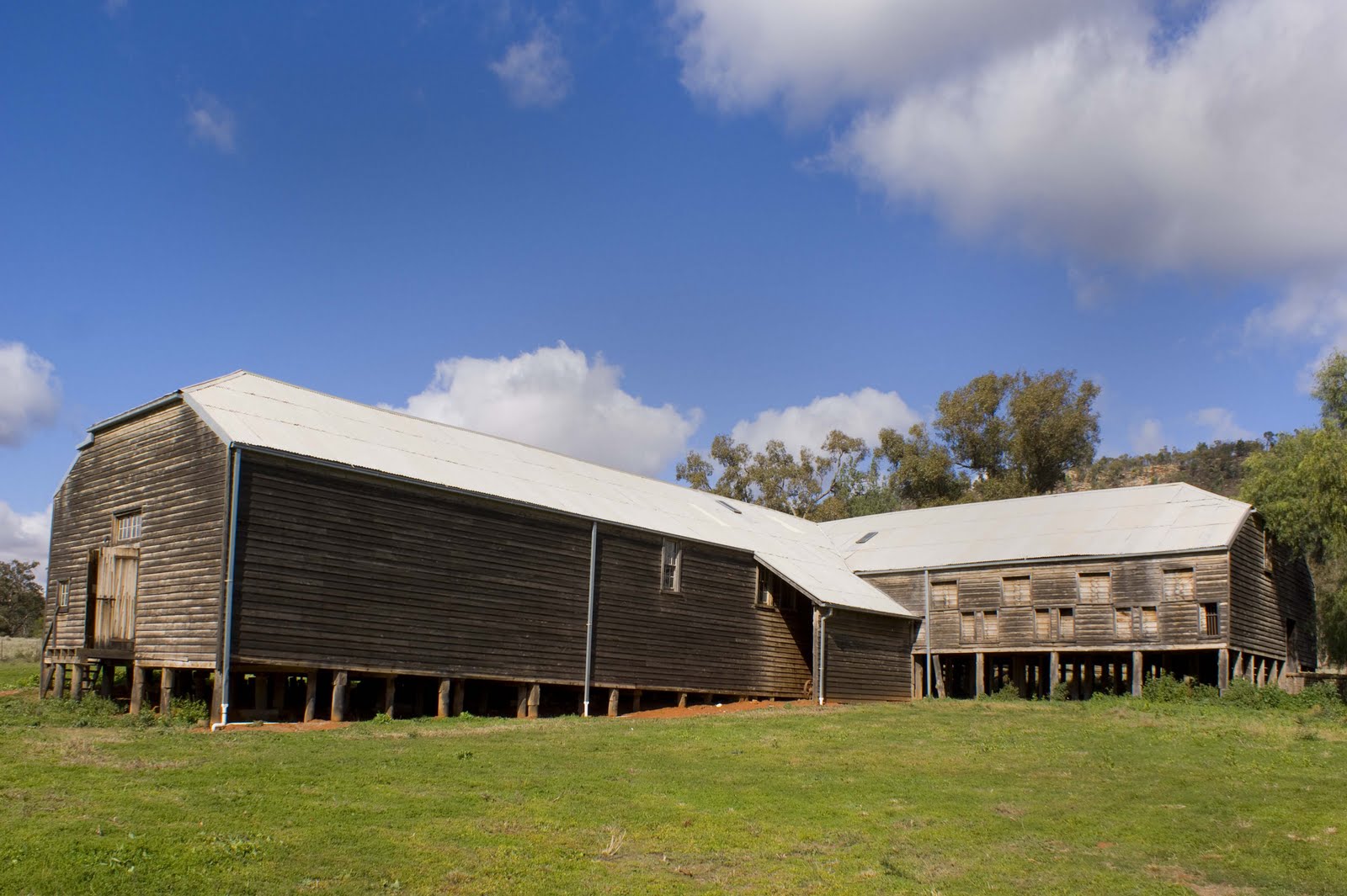 BigRedBusTouringCo.com: Naradhan Woolshed- Rankin Springs Road