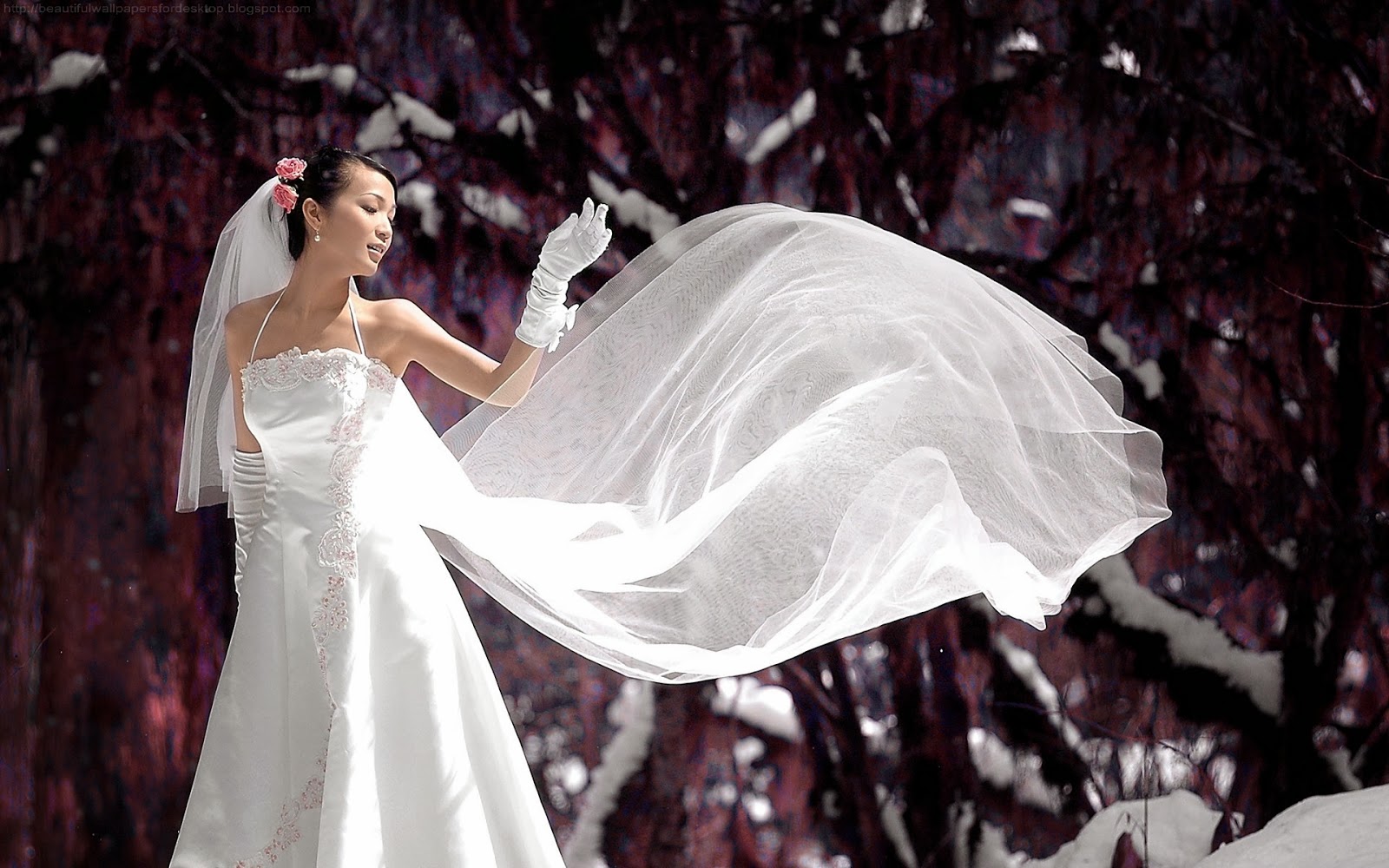 Beautiful Brides Dresses Wallpapers