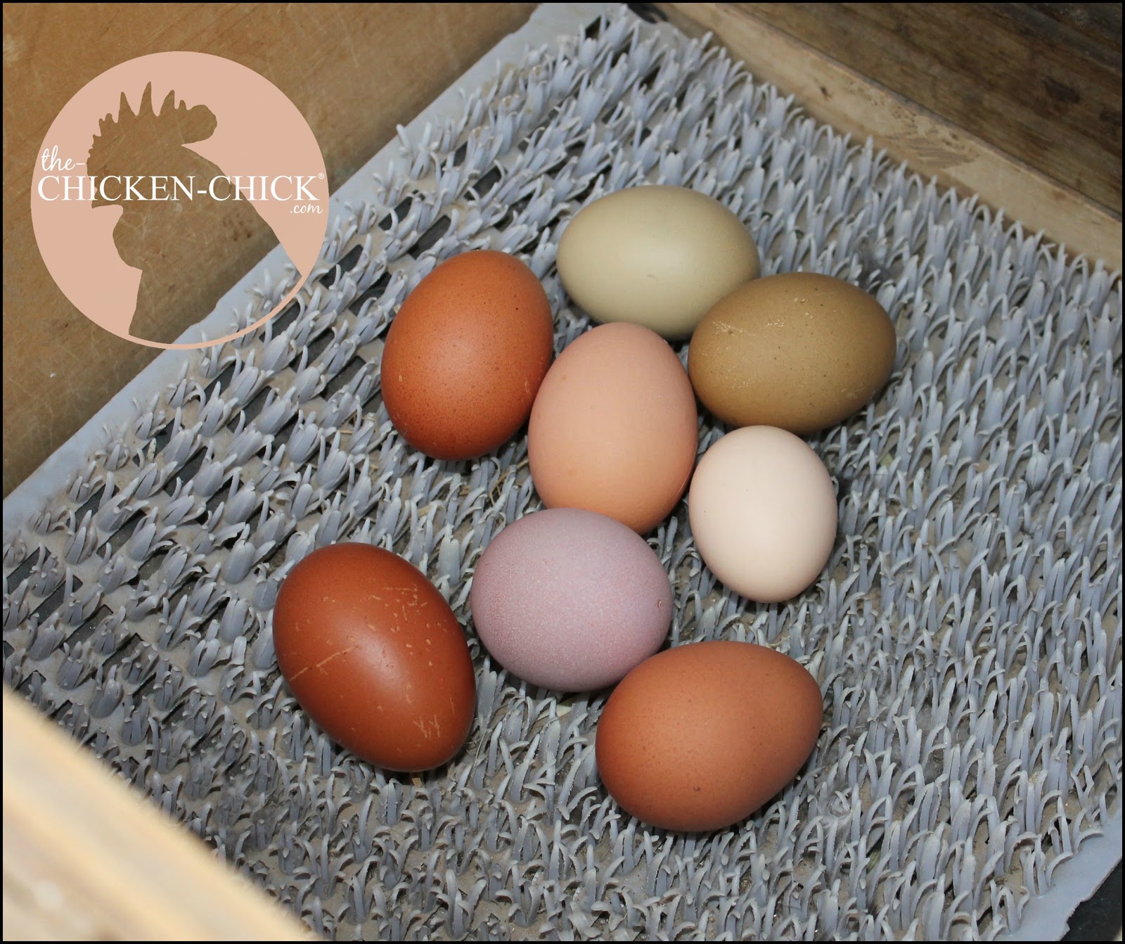 Why Nesting Fabric Matters For Backyard Chickens