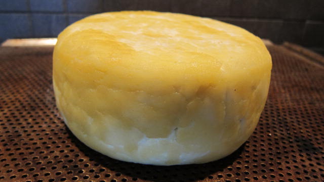 Dalmatian Mom: Ysta ost utan löpe