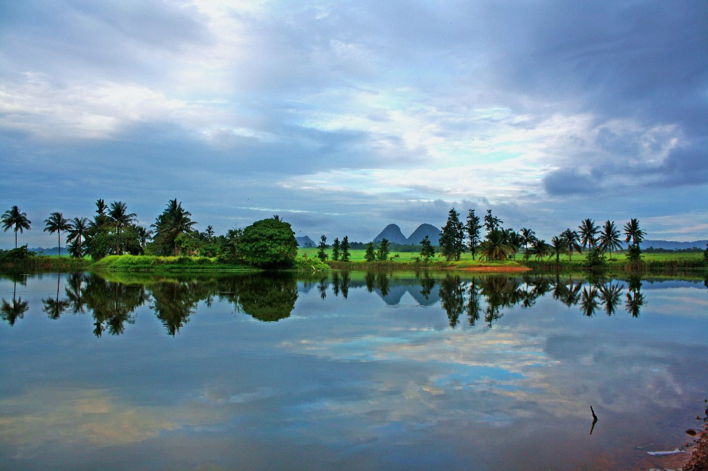 Hari ini: Ladang Tebu Perlis