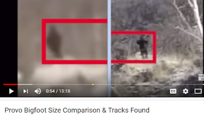 Undebunking Bigfoot: Highly Probable, Possible, Inconclusive, and ...