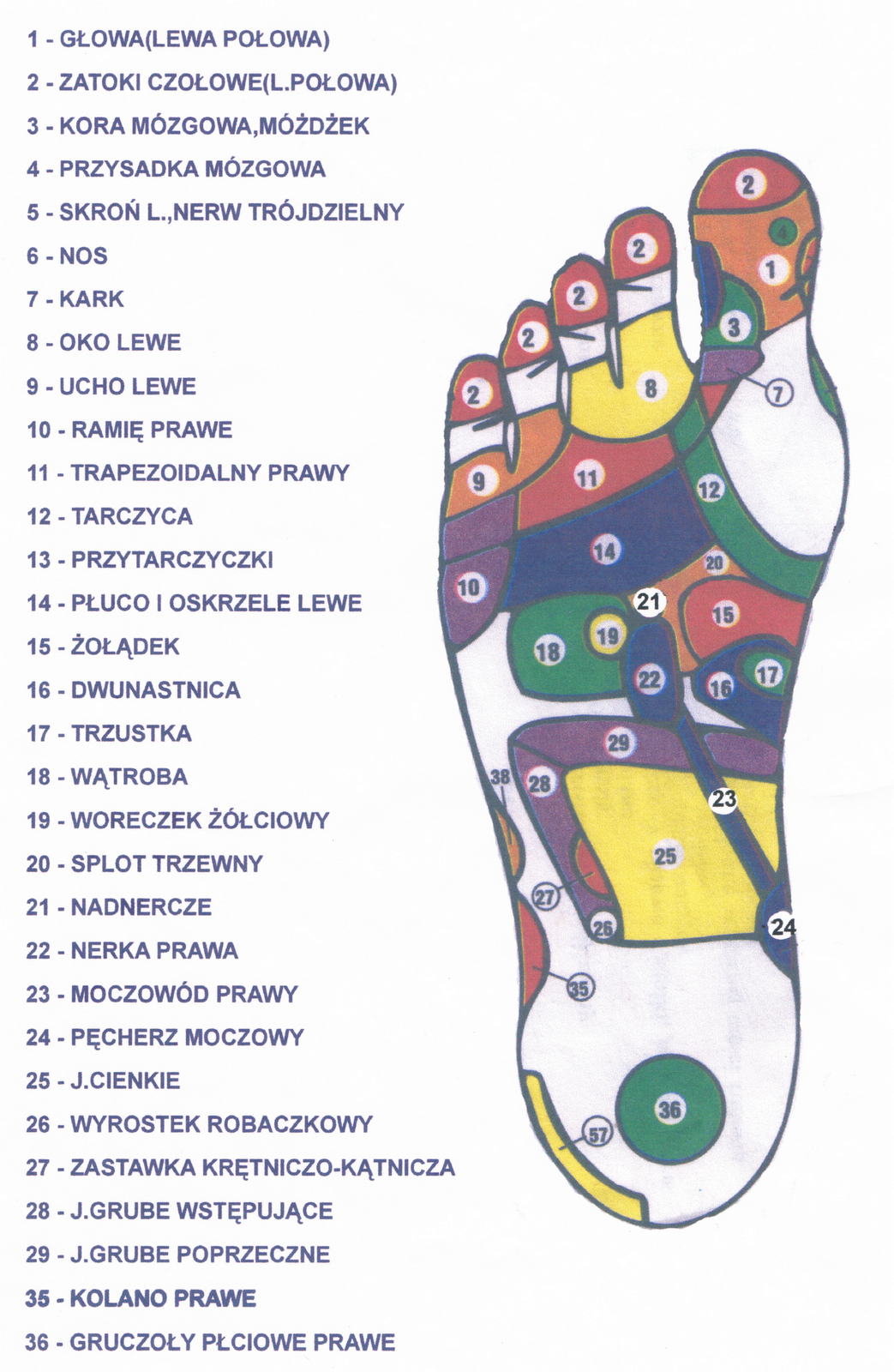 EZOTERYKA - Bogusław Leszczyński: STOPY