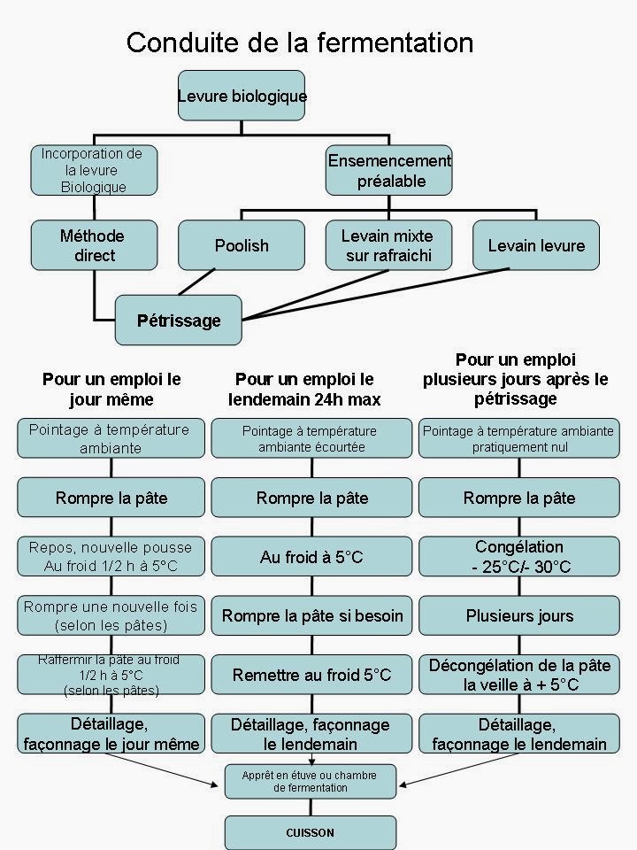La levure biologique
