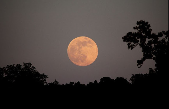 White Wolf : Full Spirit Moon 2016: What You Need to Know About October ...