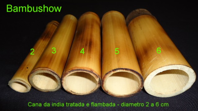 Bambu Show Brasil: Bambu tratado