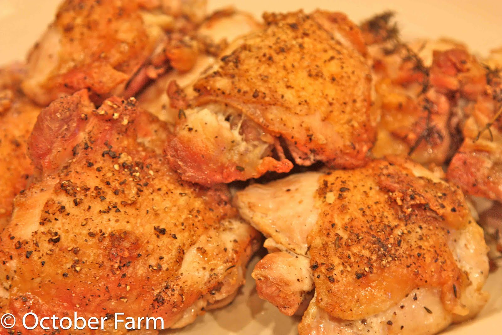 The Best Chicken You Will Ever Eat