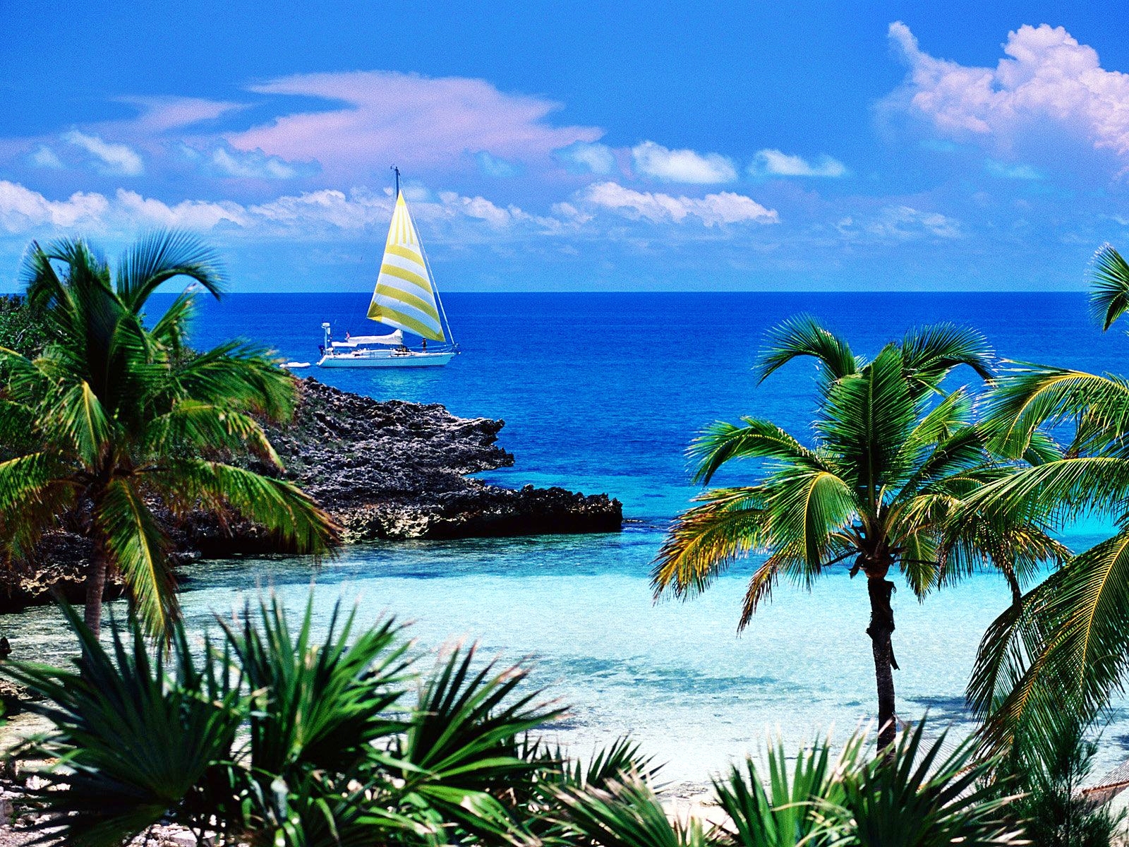 Wallpaper India: 40 Nature New HD Wallpapers 1600 X 1200