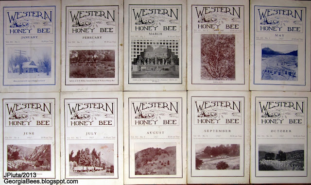 BEEKEEPING Beekeeper Honey Bees Pollen Wax Candle Propolis Queen Nuc ...