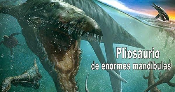 Sapienciario de culturemas: Misterios de nuestro mundo y del universo ...