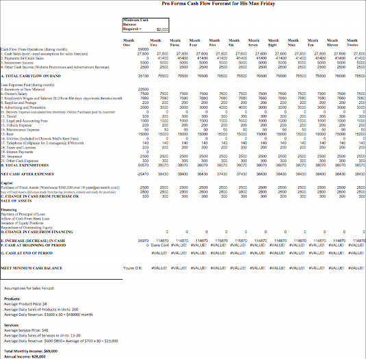His Man Friday: SWOT Analysis and Proforma
