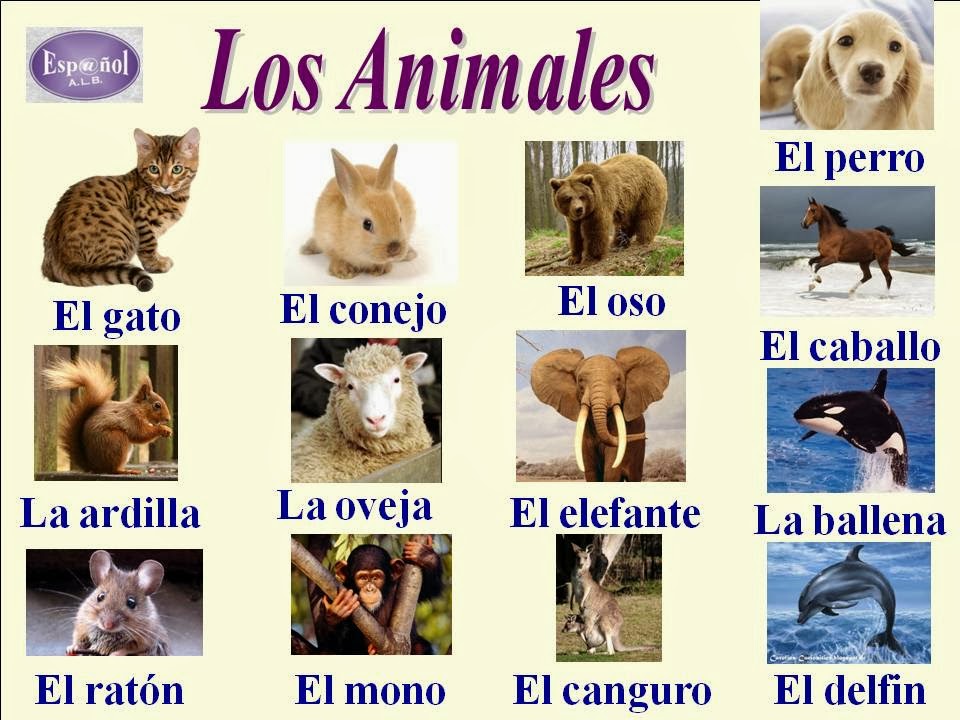 Esp@ñol ALB: tu clase de español por VIDEOCONFERENCIA (Skype): Esp@ñol ...