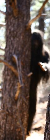 I received the following anecdote from Will, a longtime resident of ...