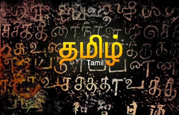 "தமிழ் விழுமியங்கள்": "தமிழ் எழுத்துகள் பிறந்த கதை"