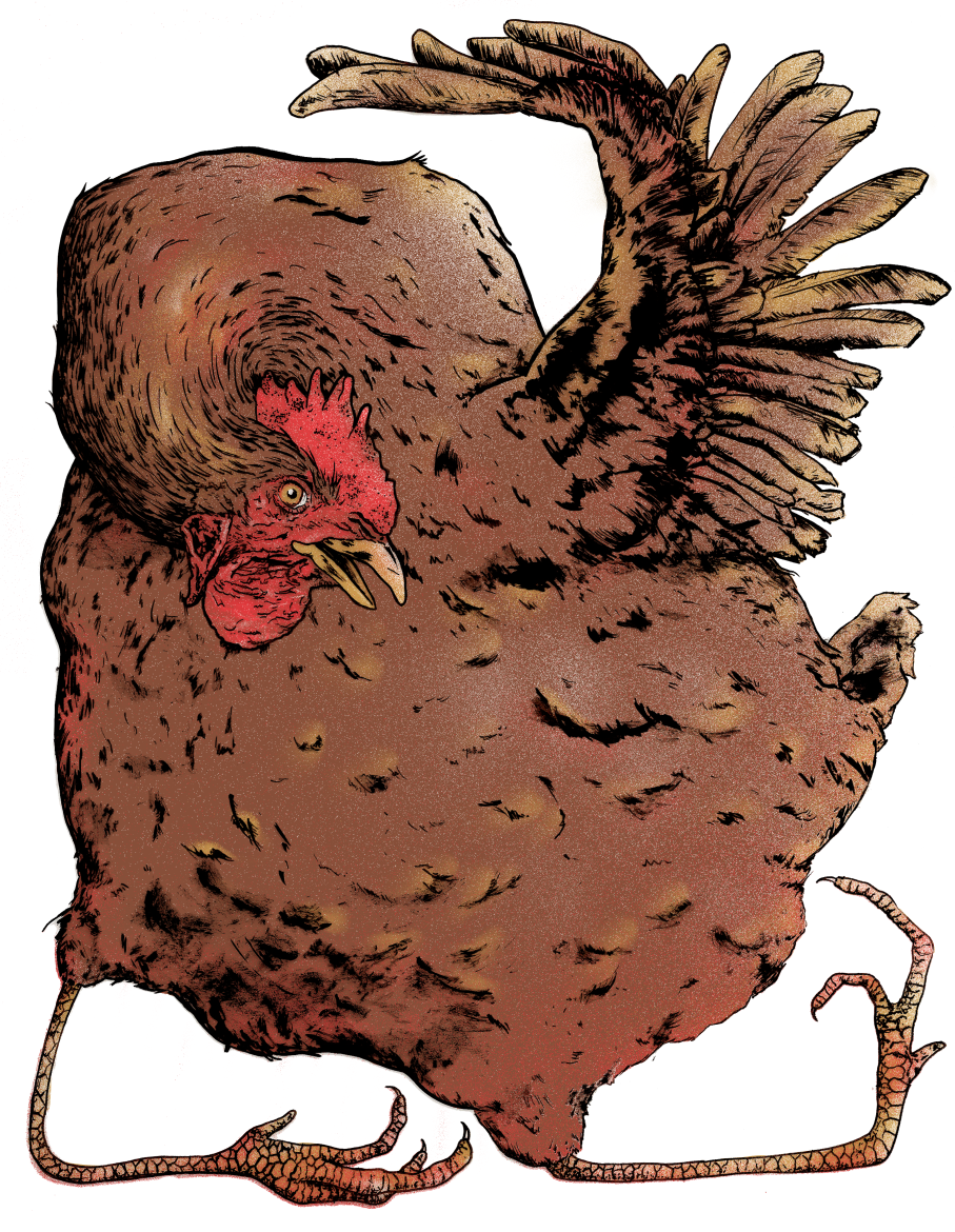 Toast: Square chicken