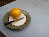 How to Section Grapefruit Like an Expert