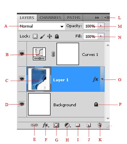 Belajar Adobe Photoshop Layer Photoshop belajar-adobe-photoshop-layer-photoshop