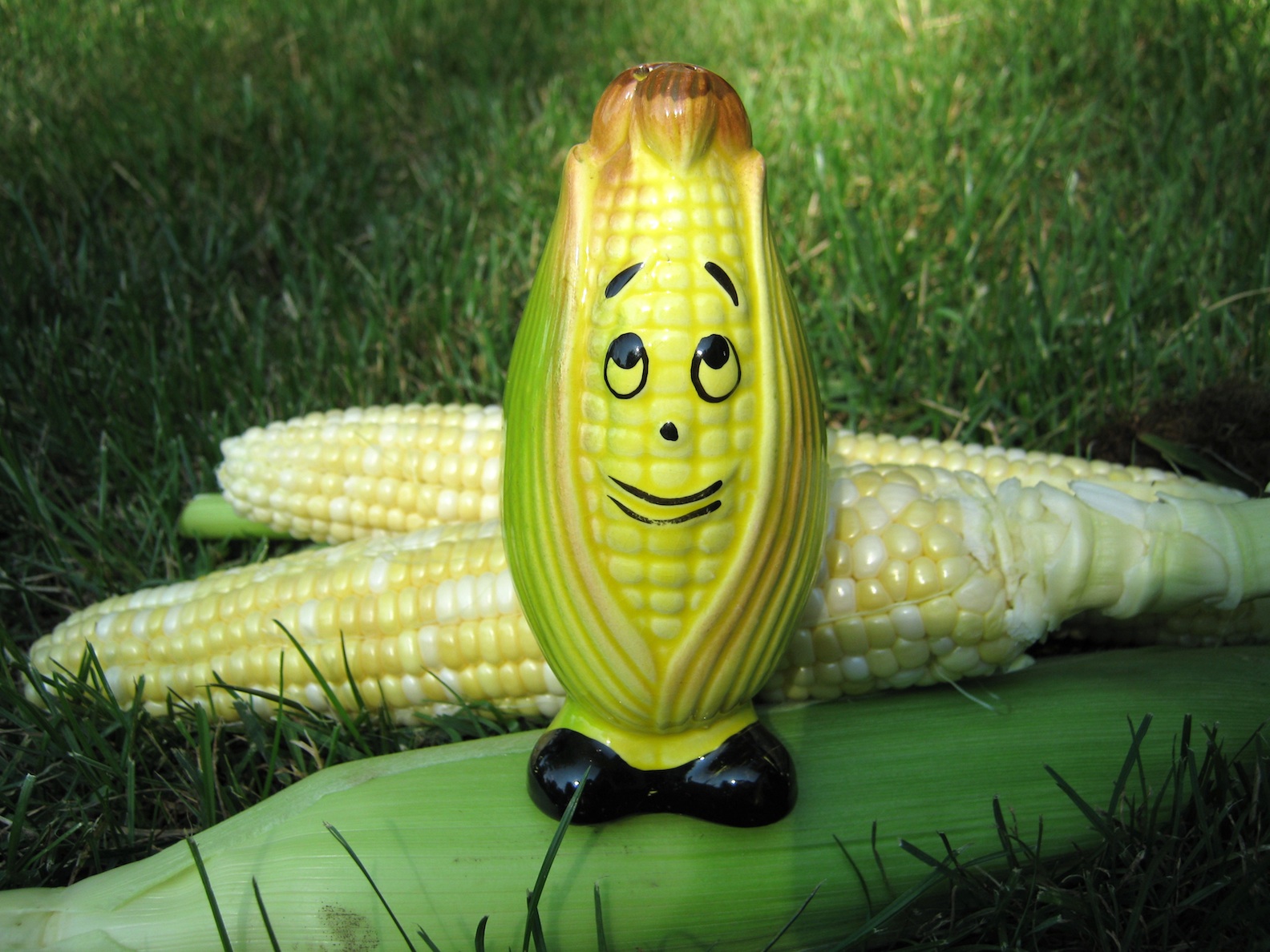 Brady's Bunch of Lorain County Nostalgia: Corny Thoughts