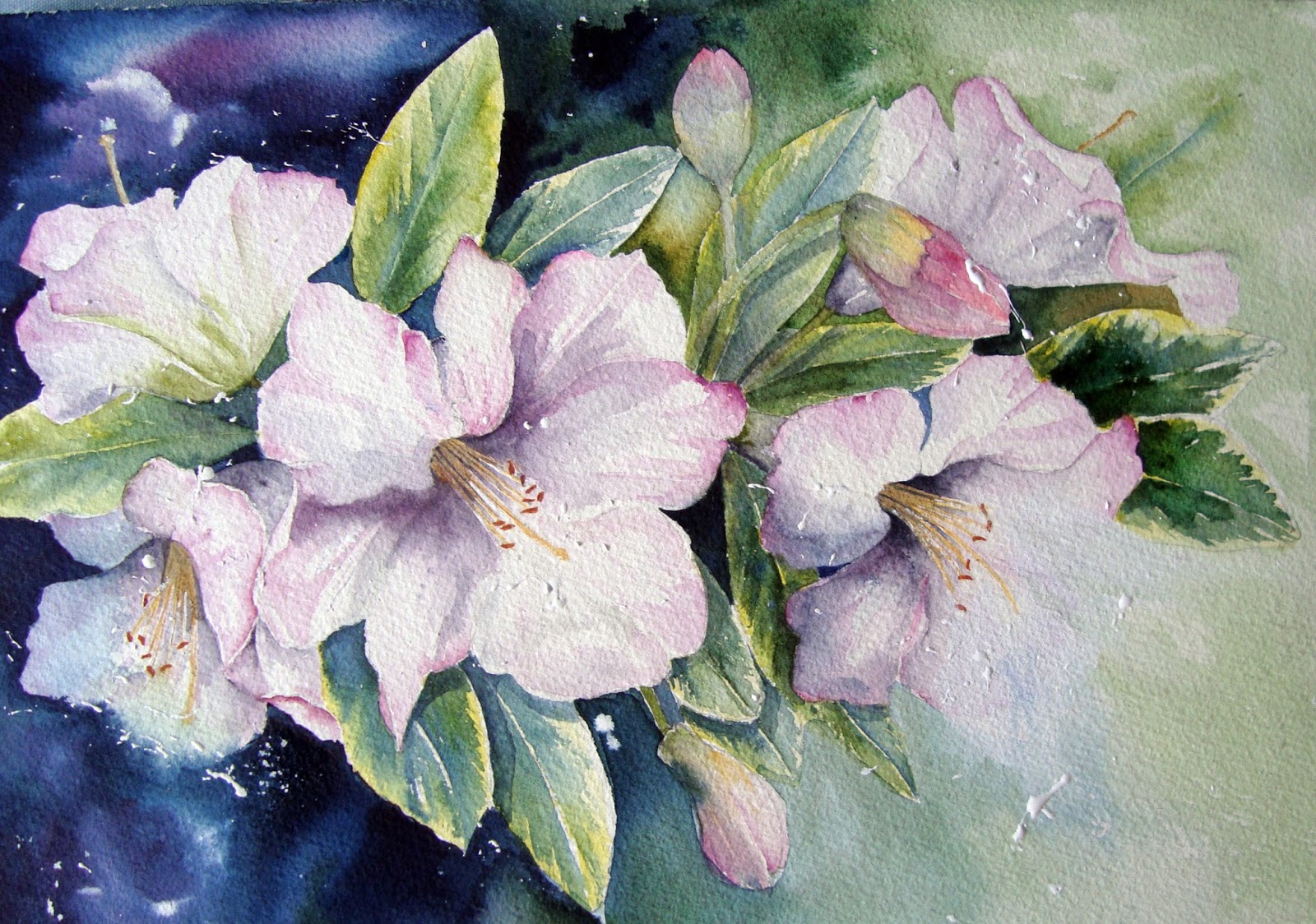 Watercolour Florals: Rhododendrons and Things
