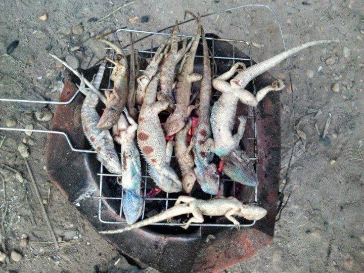 Meine Träume leben in Khon Kaen, Thailand: Tukae und kein Ende