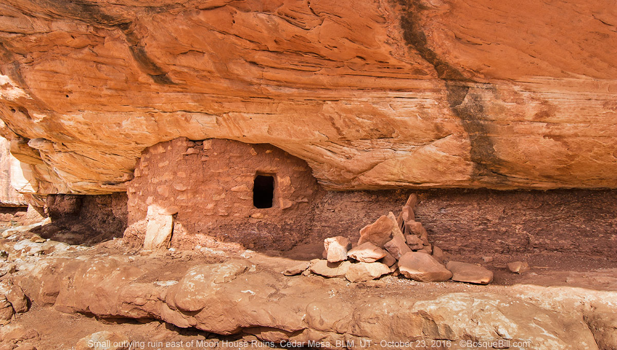 Bosque Bill's Backroads: Moon House Ruins, Cedar Mesa, Utah - October ...