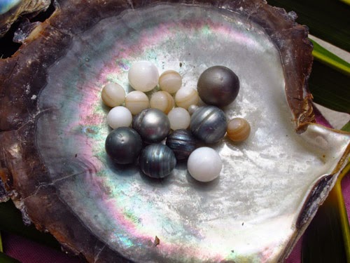 GOING ON ADVENTURES: Visit atolls of Tuomotu Archipelago in the South ...