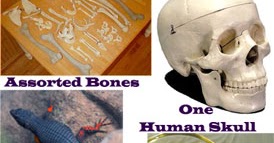 Ancient Black History: The Truth Behind the Zombie Myth