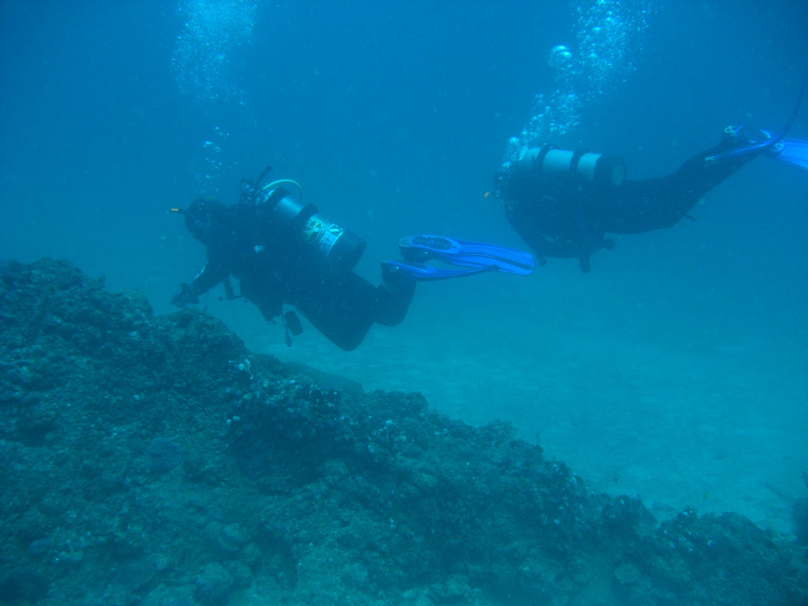 Buce-ANDO...: Quieres Bucear en el Parque Nacional Mochima?