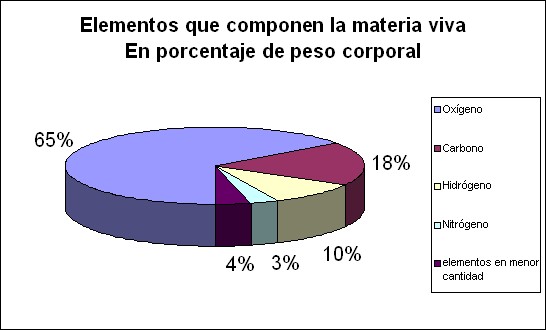 24 Elemntos En El Cuerpo Humano?: Los Elementos Químicos En Nuestro Cuerpo