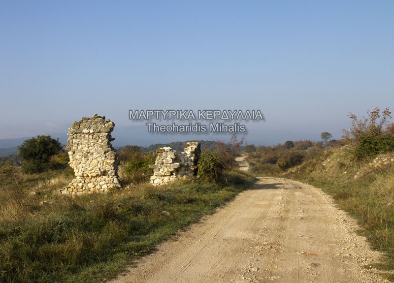 ΑΞΙΟΘΕΑΤΑ ΣΤΑ ΜΑΡΤΥΡΙΚΑ ΚΕΡΔΥΛΛΙΑ ΣΕΡΡΩΝ- Theoharidis Mihalis