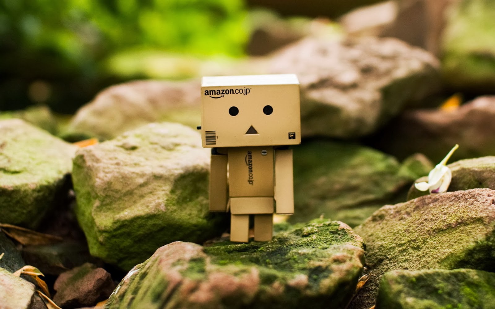 Box people hd wallpapers - cool wallpapers