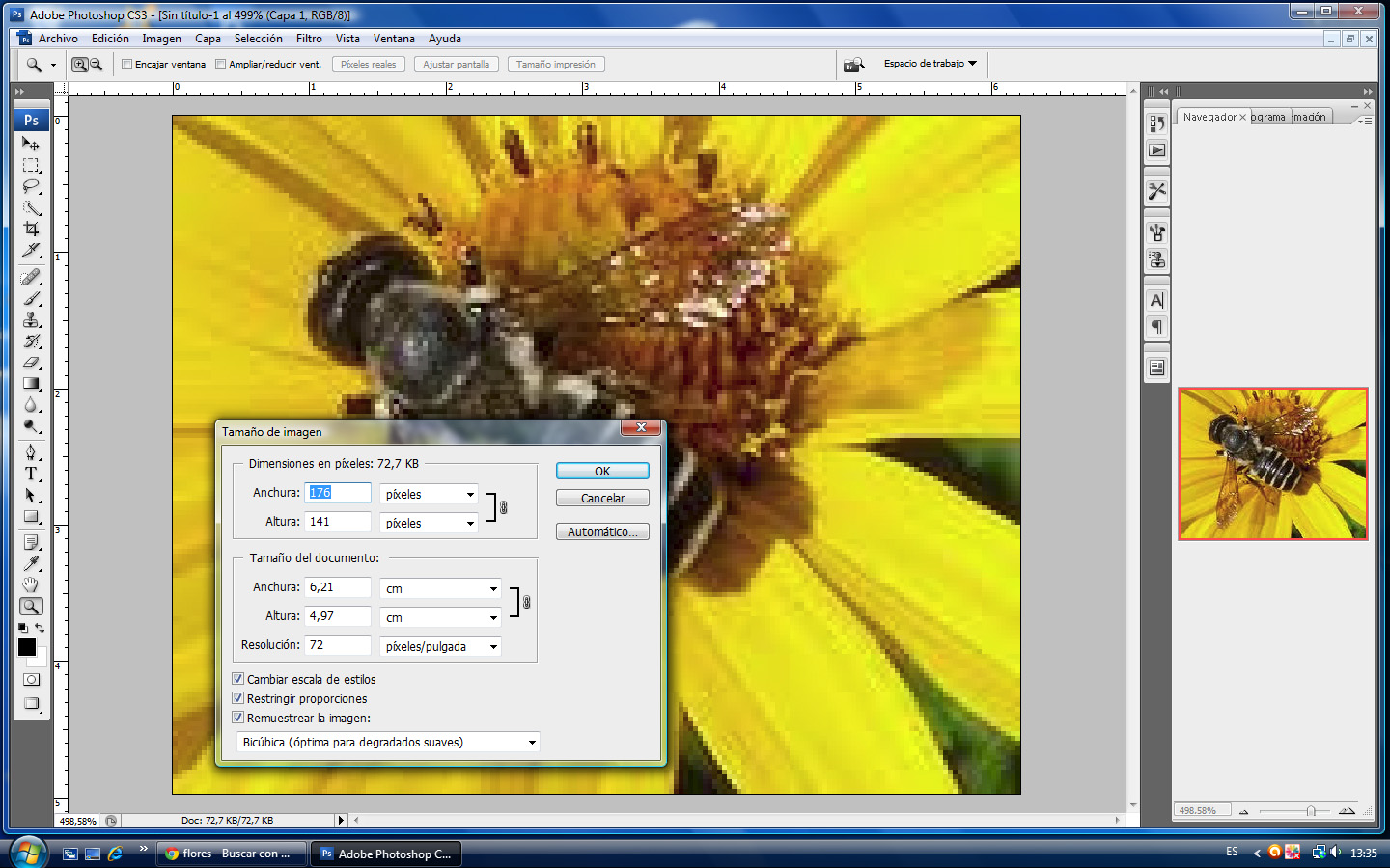 IMAGEN: Incrementar el número de píxeles de una imagen mediante ...