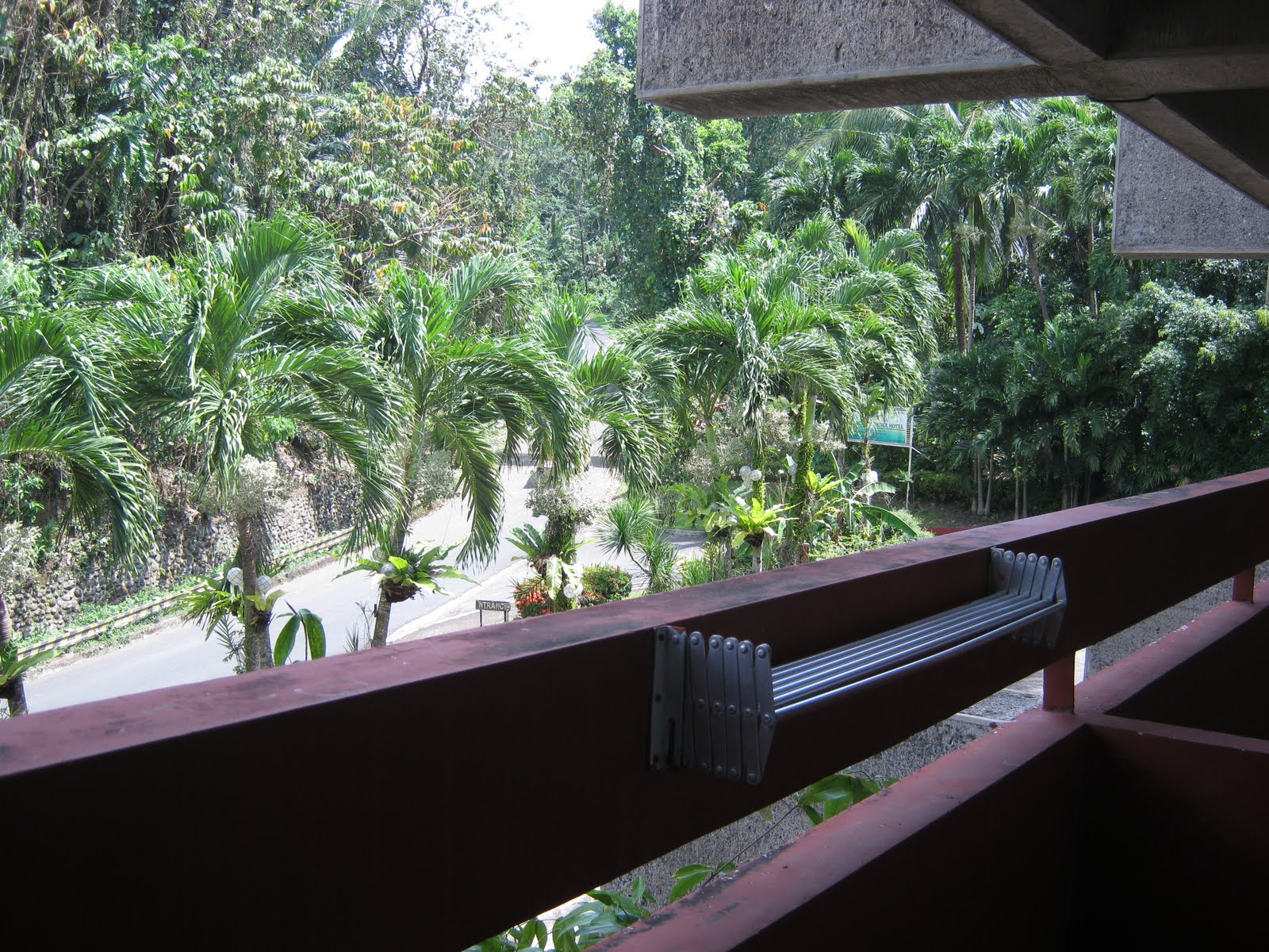 Tabi tabi po!: SEARCA Residence Hotel - For Transients in UPLB