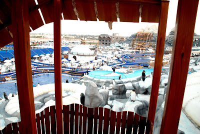 Life's journey in words: Freeze the desert at Iceland Water Park, RAK