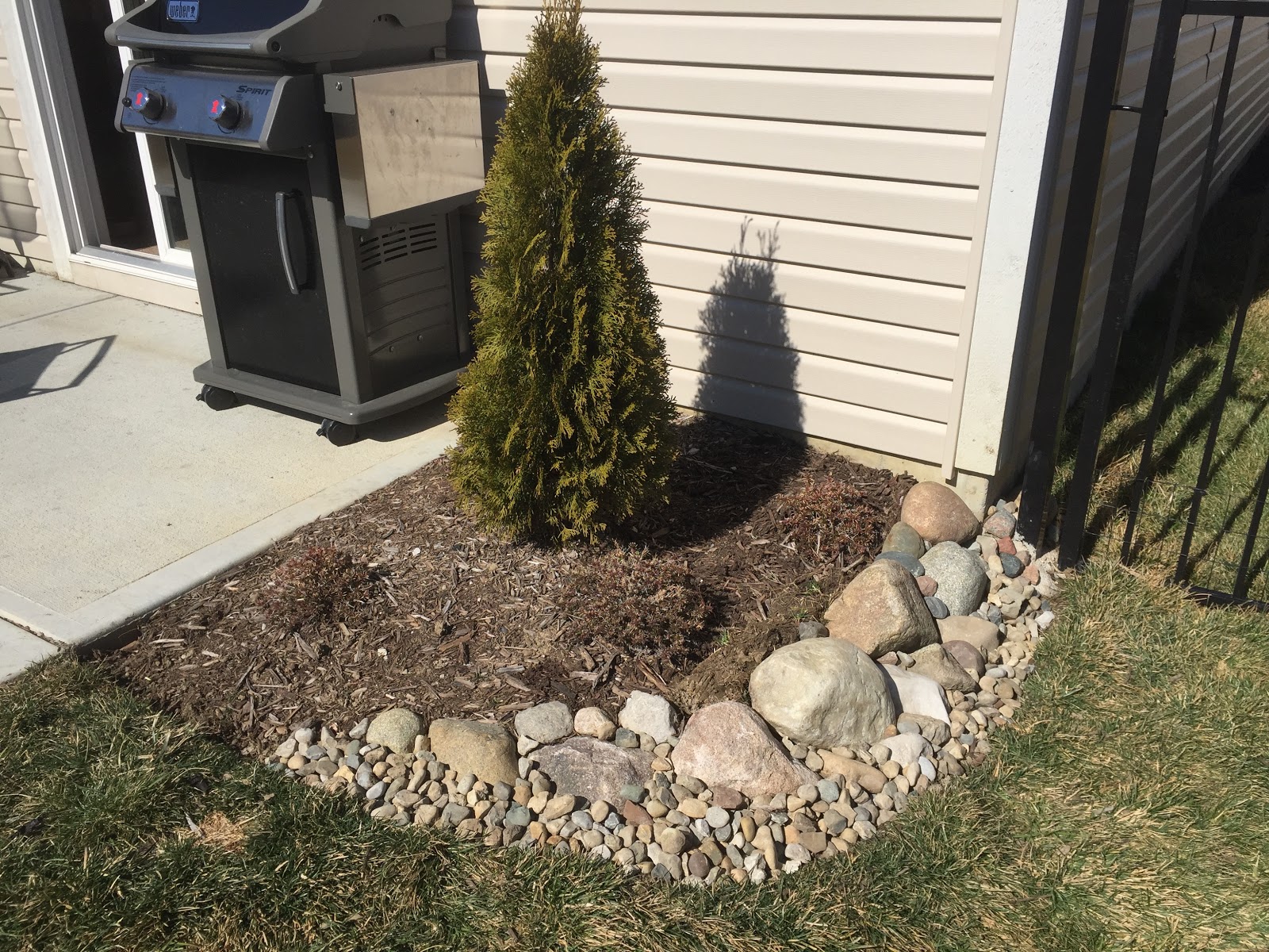 Temp Swings and Restless Plants Ready to Wake Up [Backyard Neophyte ...