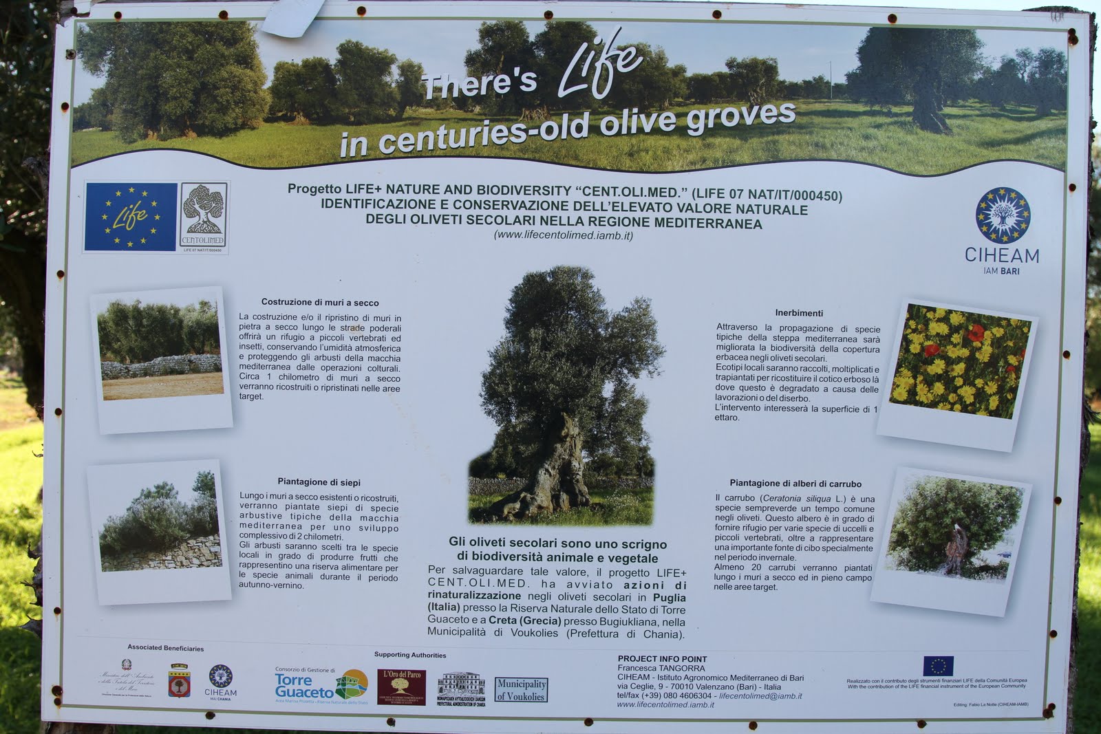 TravelMarx: Torre Gauceto, Puglia