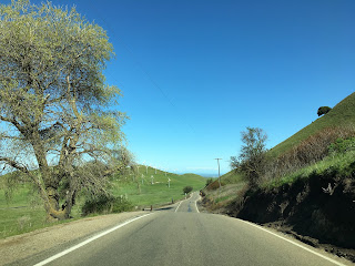 Patterson Pass Road