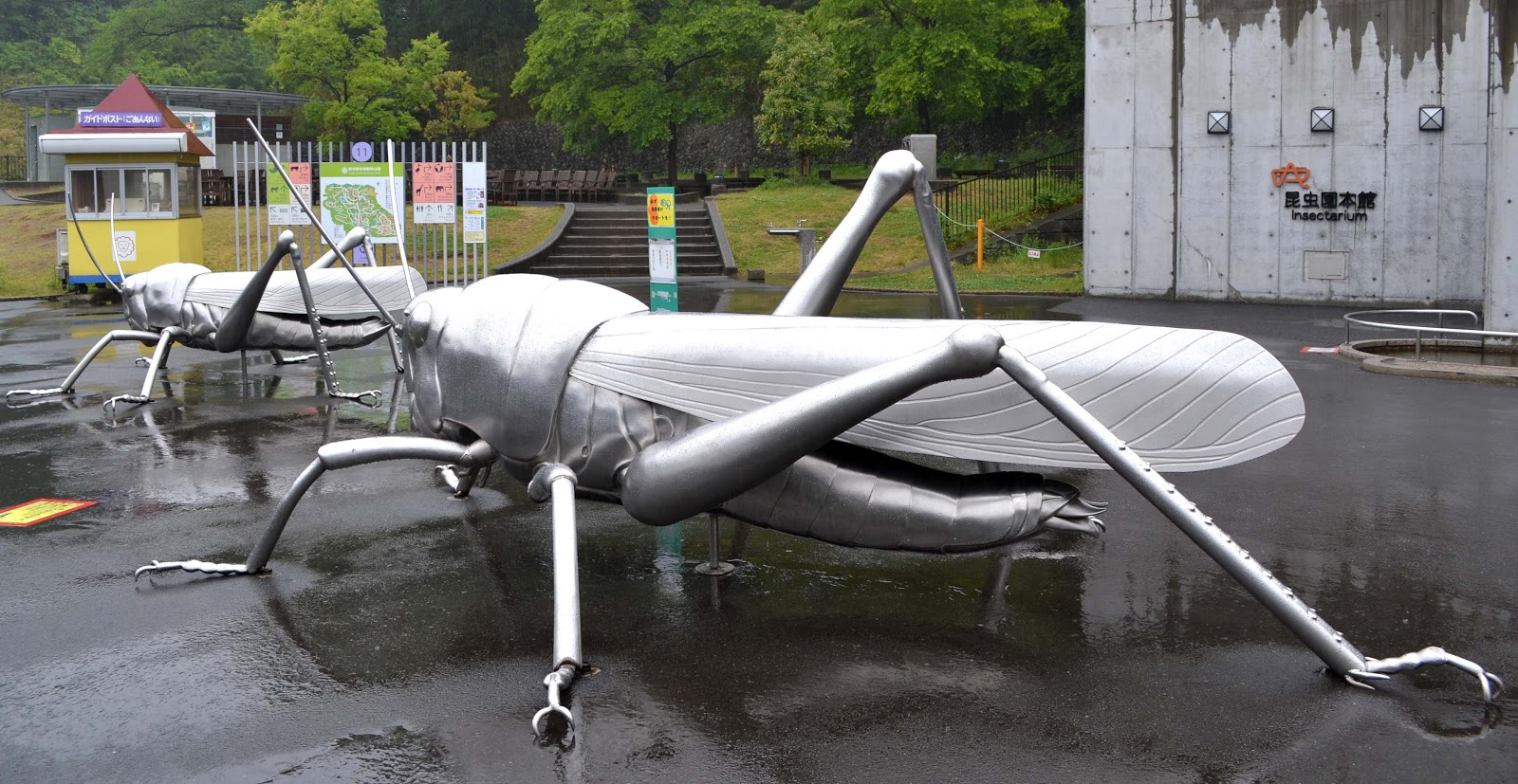 Supercords: Tama Zoo: The Good