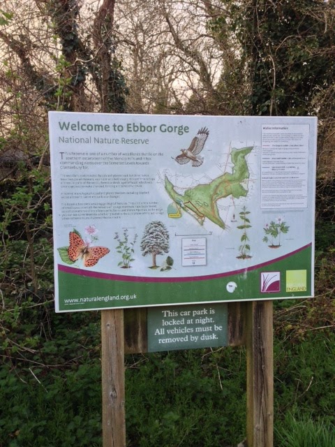 monsoonpanda: Ebbor Gorge.