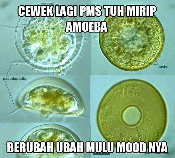 38 Meme Lucu Tentang Dunia Kesehatan - Meme Kocak Bikin Ngakak