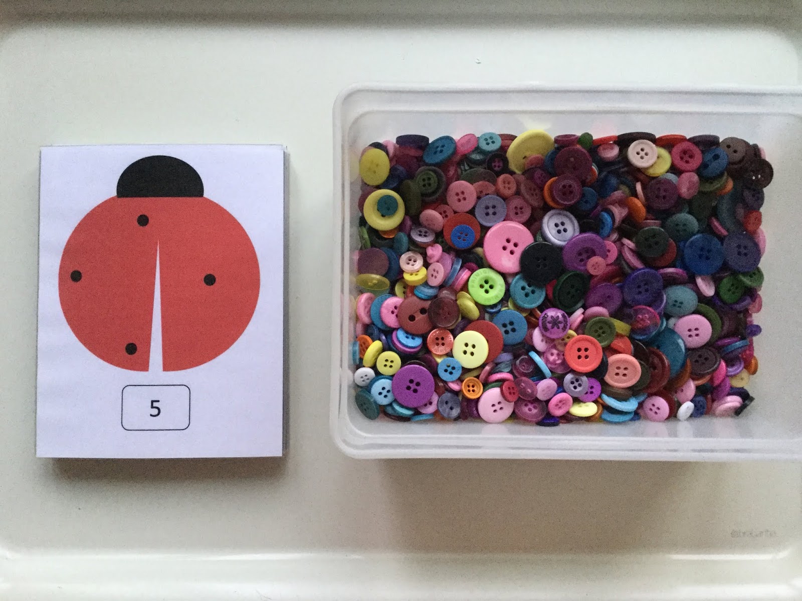 Additionner les points de la coccinelle