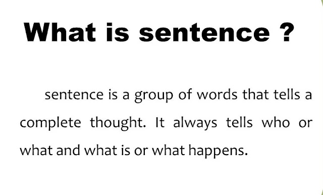 What Is Sentence? (with example) - English Grammar A To Z